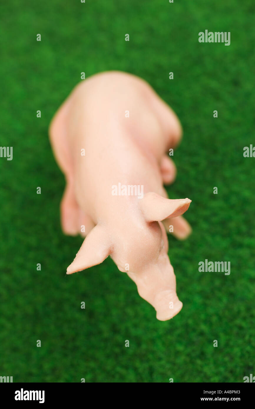 Miniature pig made of plastic on green artificial grass Stock Photo - Alamy