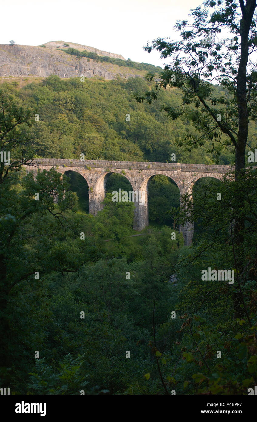 Pontsarn Viaduct Vaynor Merthyr Tydfil South Wales Stock Photo - Alamy
