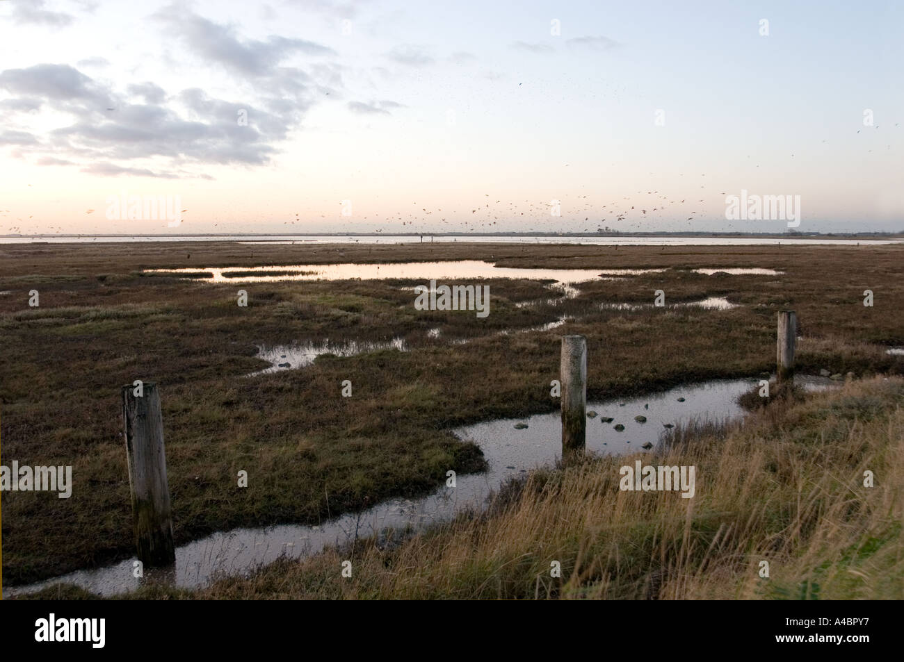 Breydon norfolk england hi-res stock photography and images - Alamy