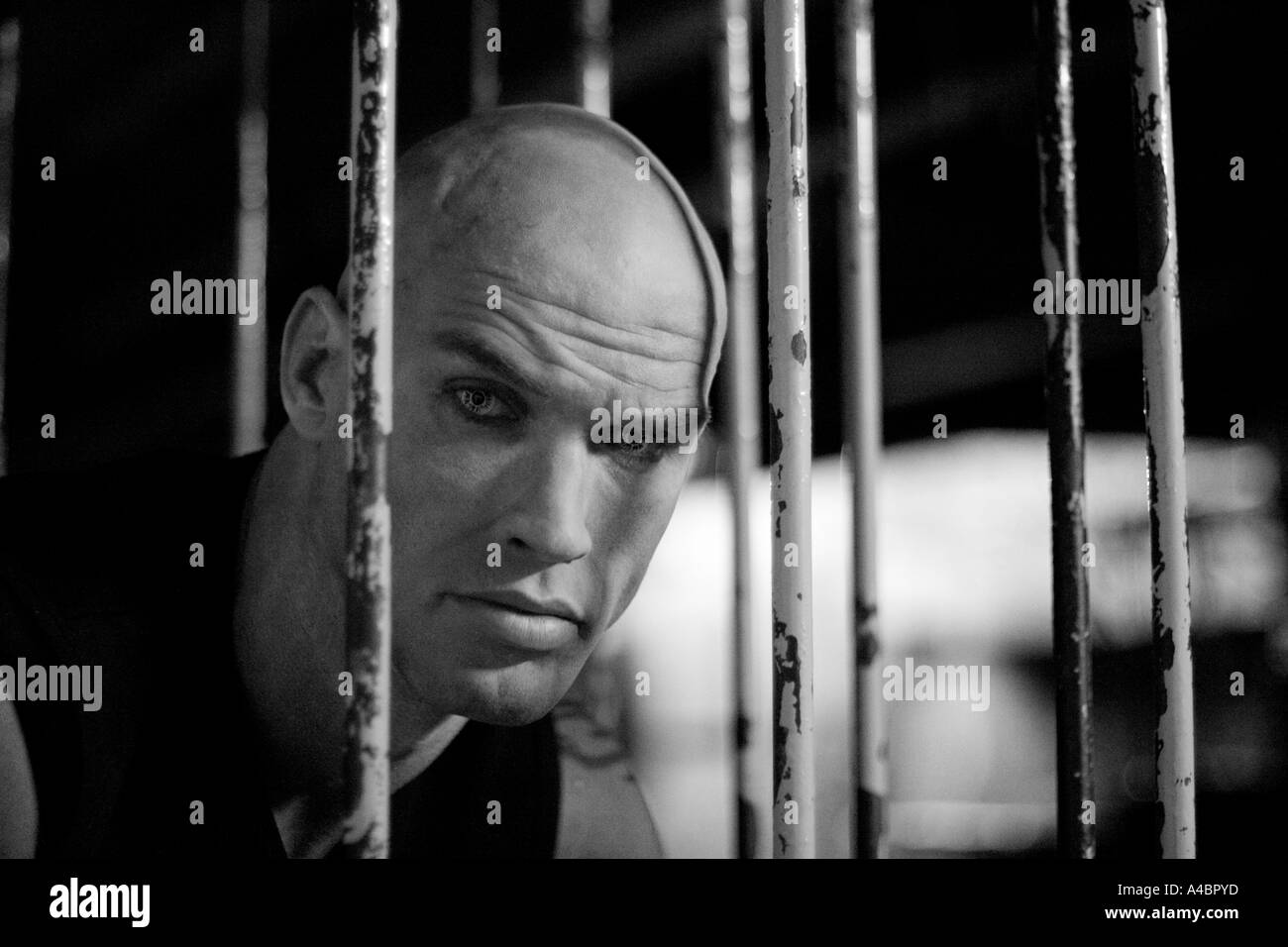 Undead vampire Black and White Stock Photos & Images - Alamy