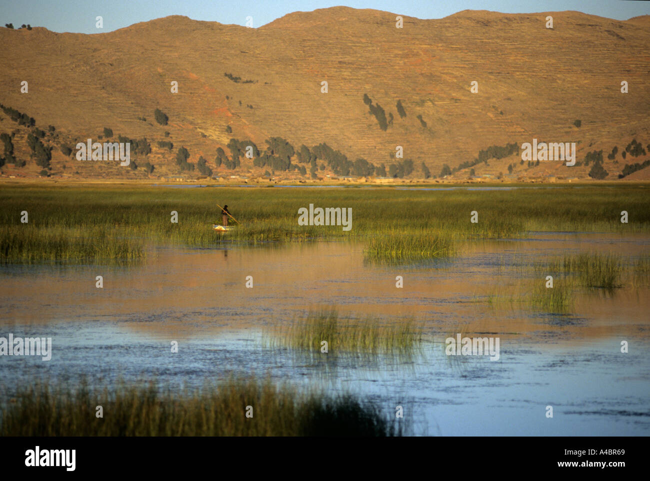 Altiplano wetlands hi-res stock photography and images - Alamy