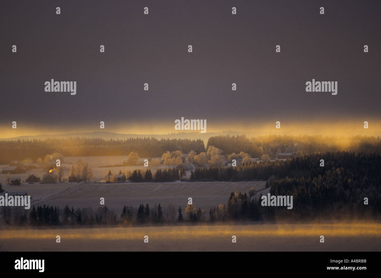 Early morning mist in forest landscape hi-res stock photography and ...
