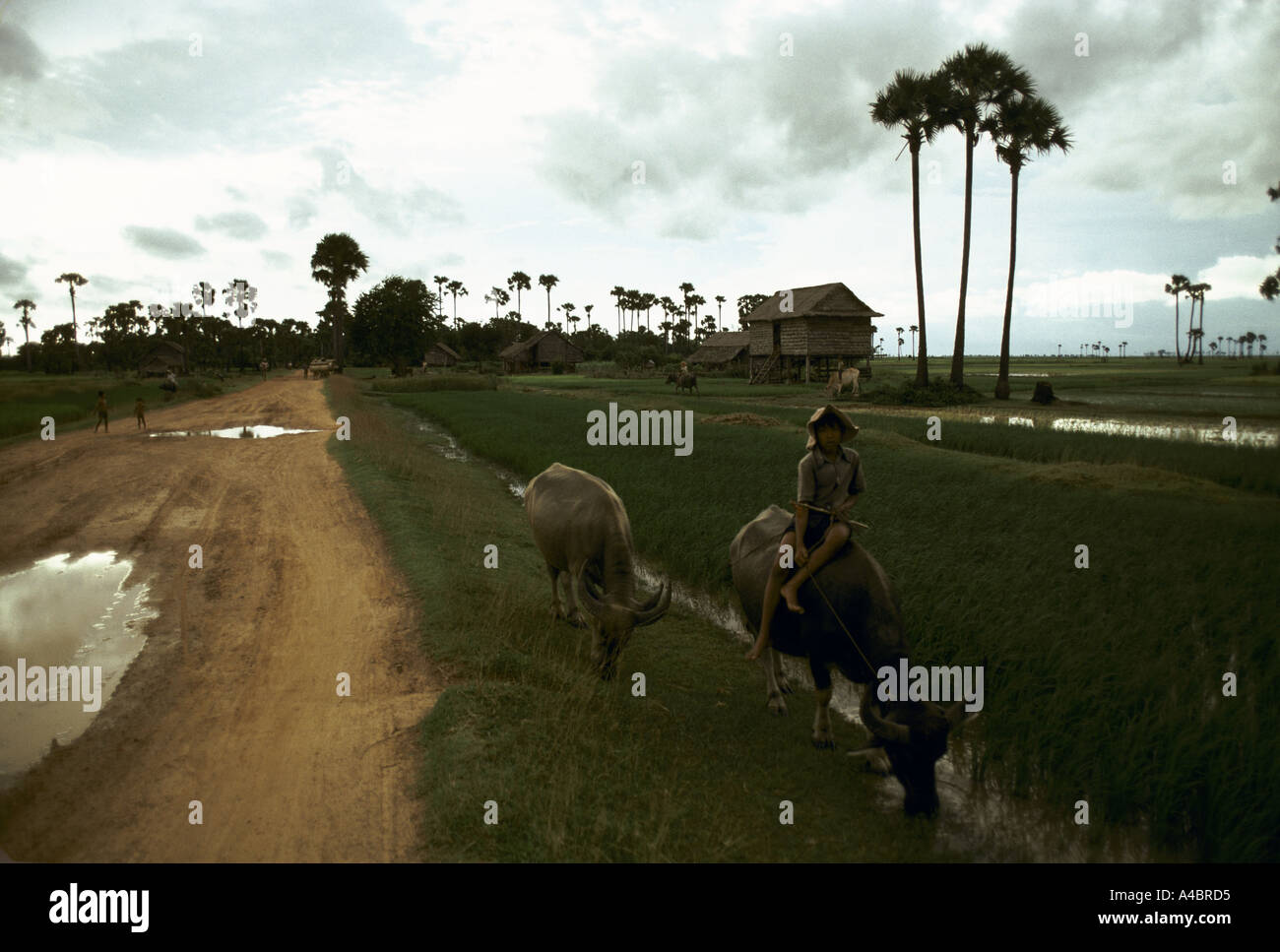 Prey veng province hi-res stock photography and images - Alamy