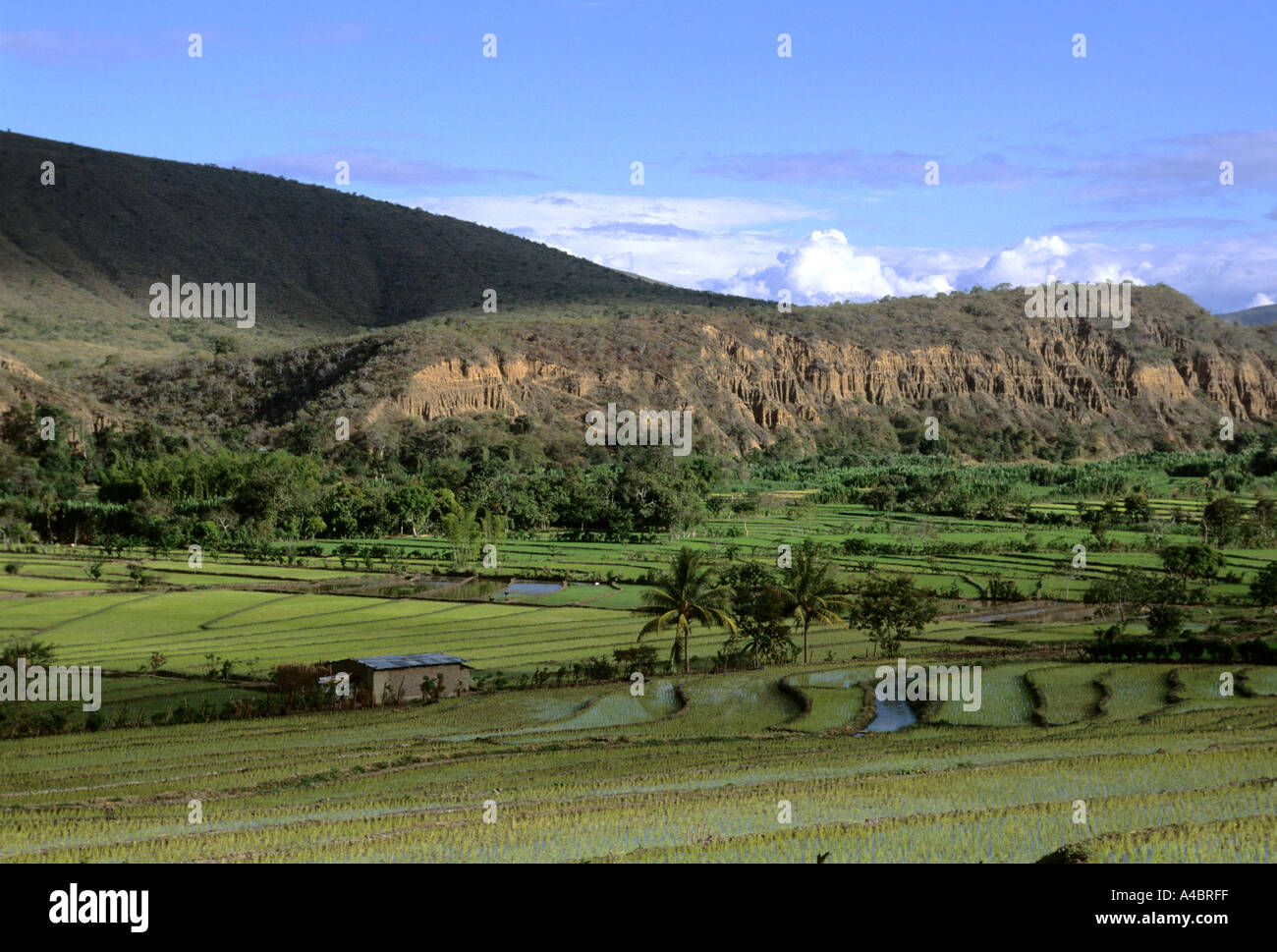 Agricultural terraces peru pre inca hi-res stock photography and images ...