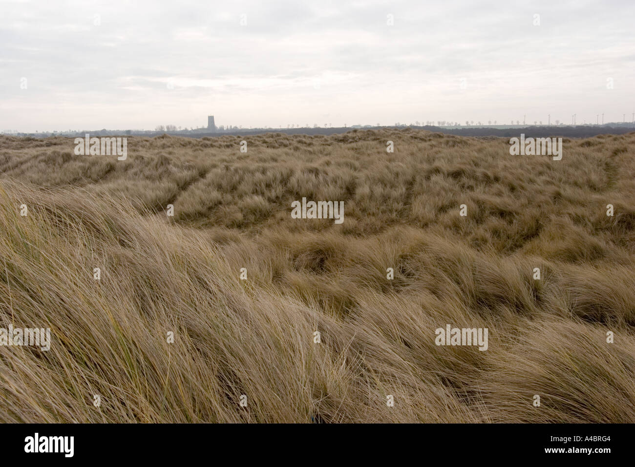Winterton Dunes (Nature Reserve Stock Photo - Alamy
