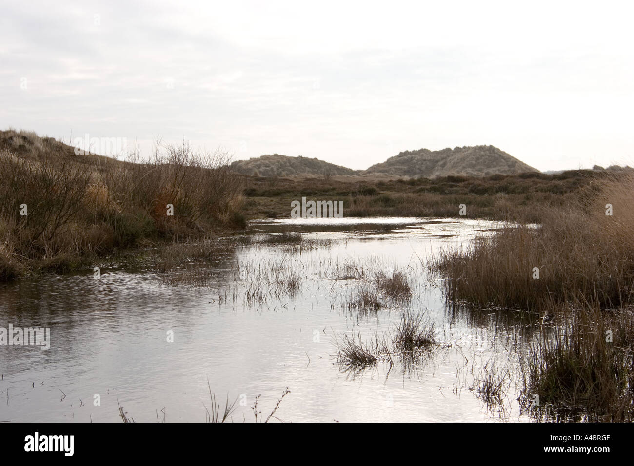 Winterton Dunes, Norfolk (Nature Reserve Stock Photo - Alamy