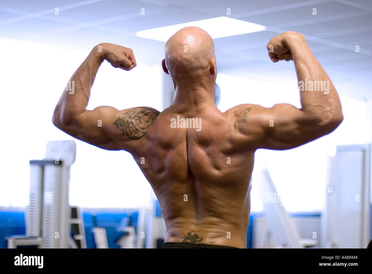 Ruben Halse High Resolution Stock Photography and Images - Alamy