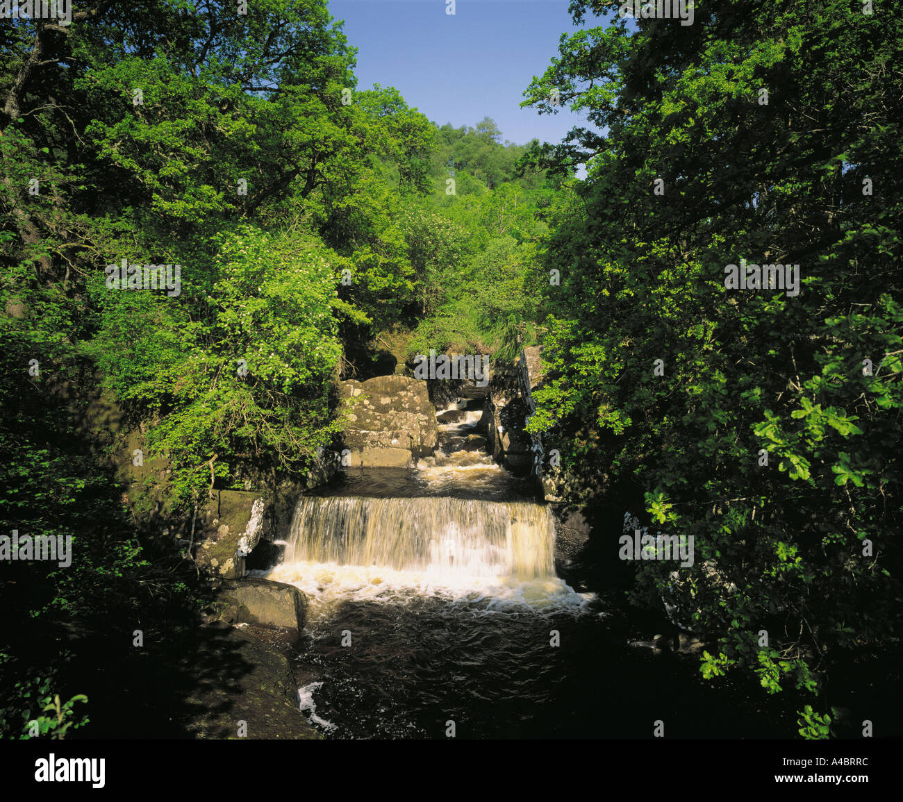 Bracklinn waterfall hi-res stock photography and images - Alamy