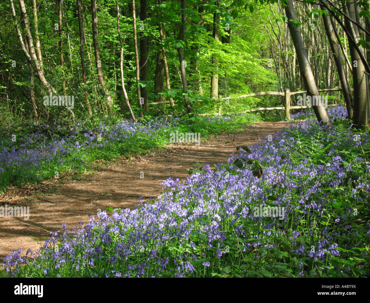 Shoreham Kent Stock Photos & Shoreham Kent Stock Images - Alamy