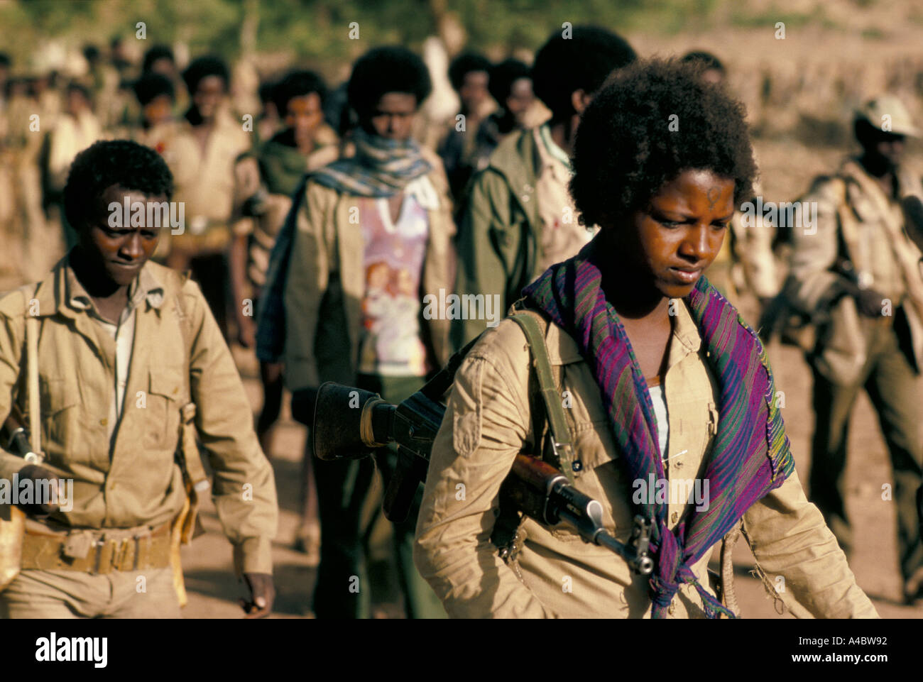 Tplf hi-res stock photography and images - Alamy