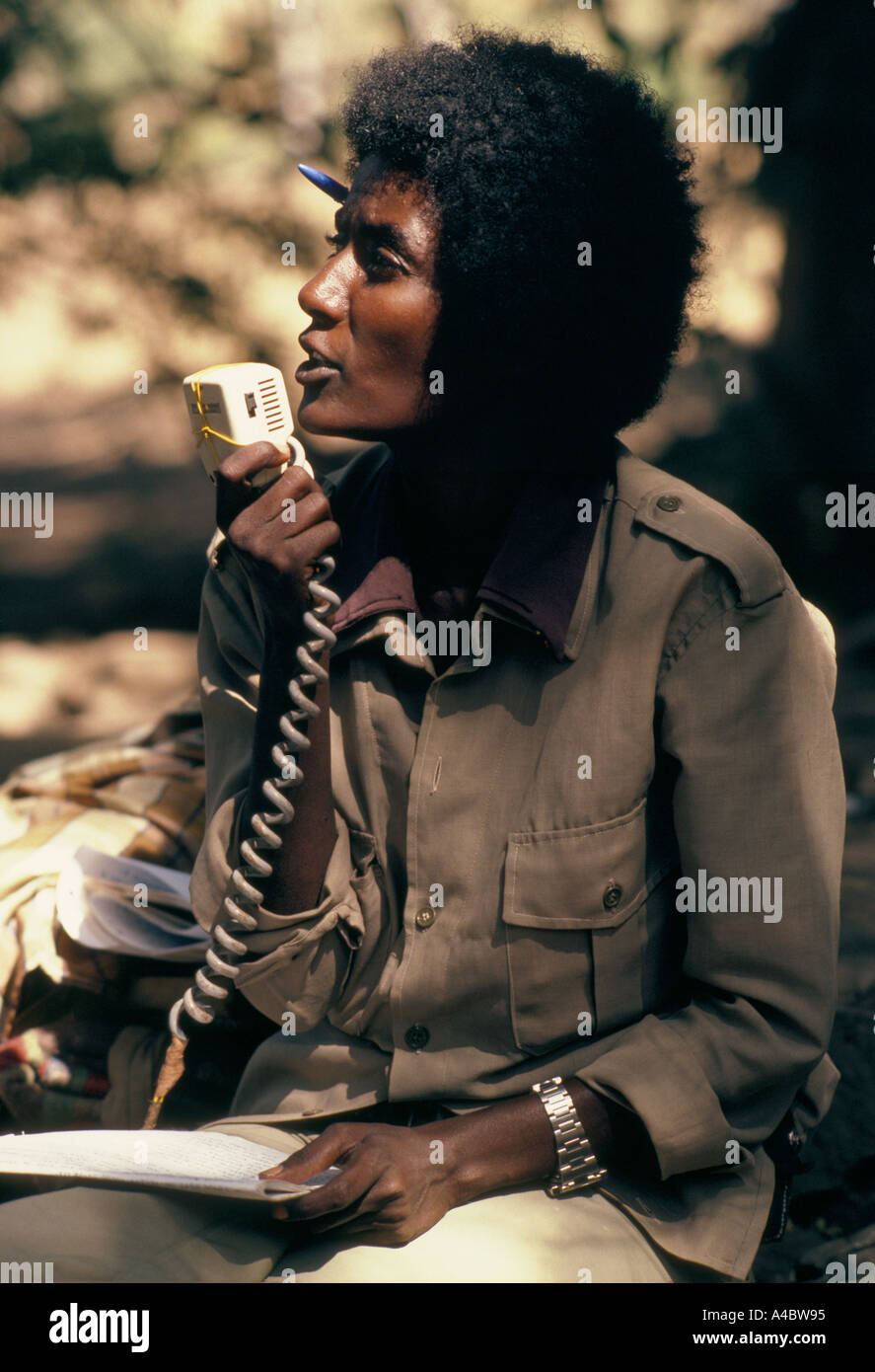 Tplf hi-res stock photography and images - Alamy