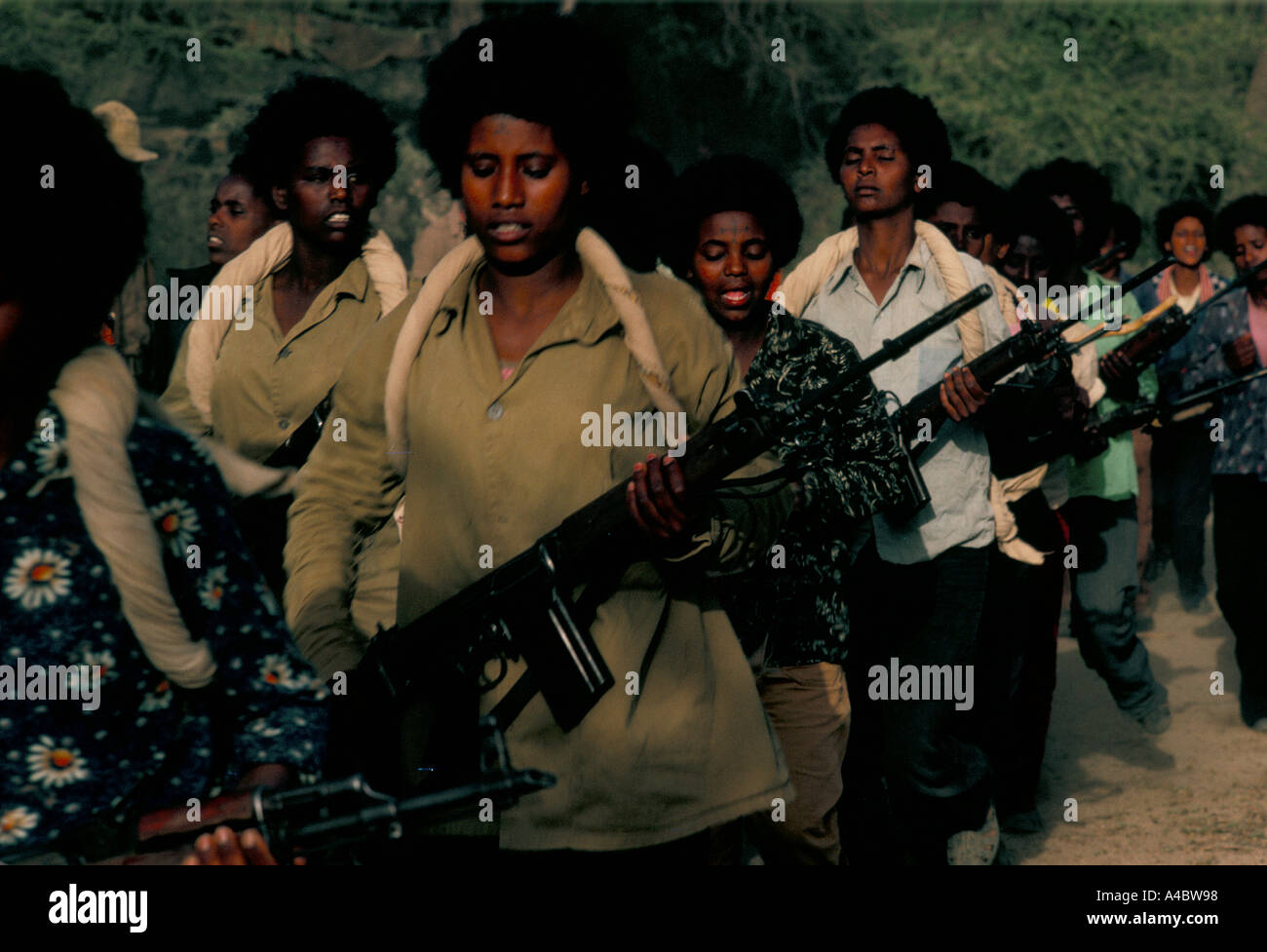 Eplf hi-res stock photography and images - Alamy