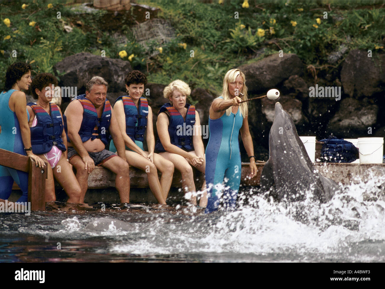 dolphins doing tricks for visitors dolphinpark hawaii Stock Photo - Alamy