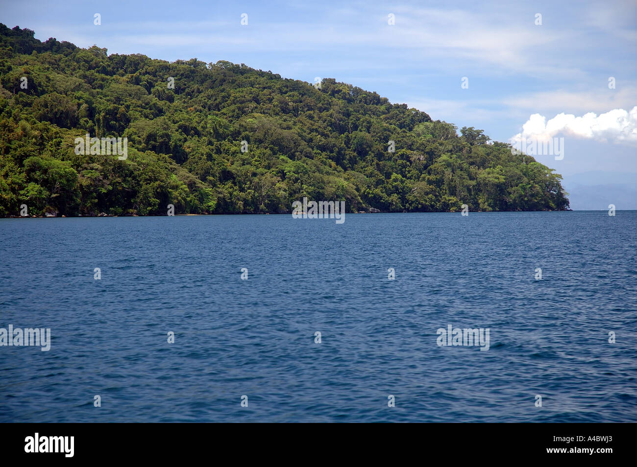 Special Reserve Nosy Mangabe a protected island of primary rainforest ...