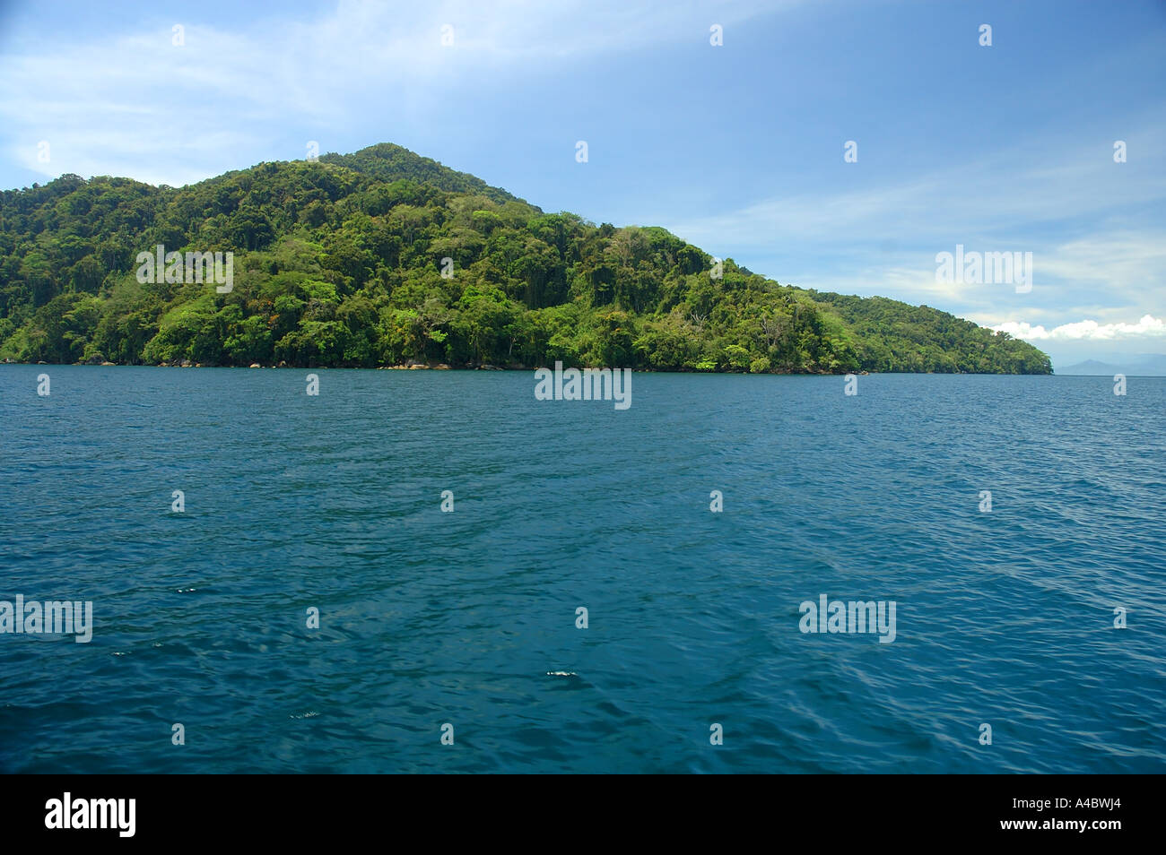 Special Reserve Nosy Mangabe a protected island of primary rainforest ...