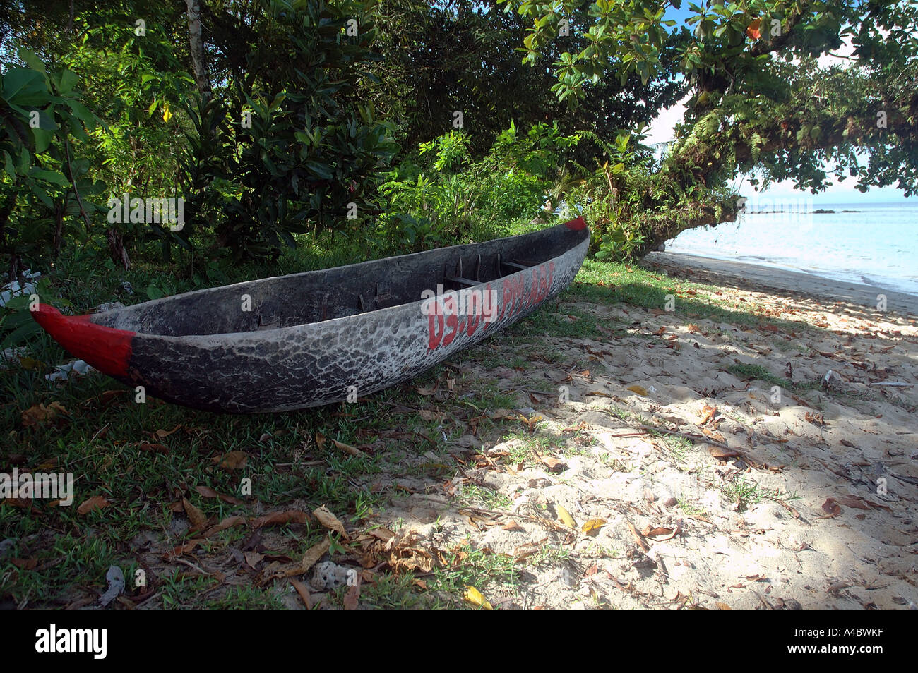 Dugout canoe pirogue painted with red license number indicating that it ...