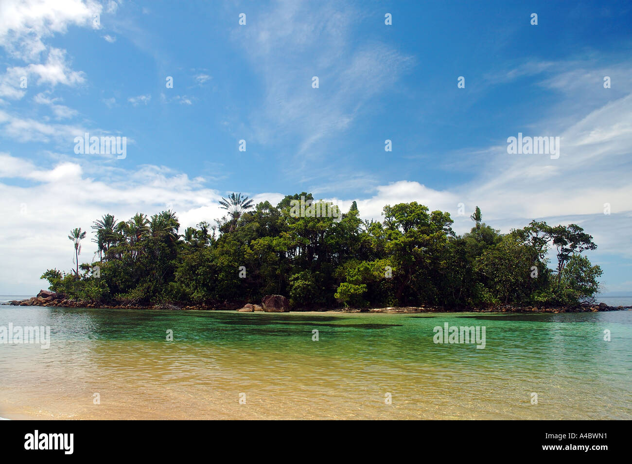 Island with Ravenala palms in Tampolo Marine Reserve Masoala National ...