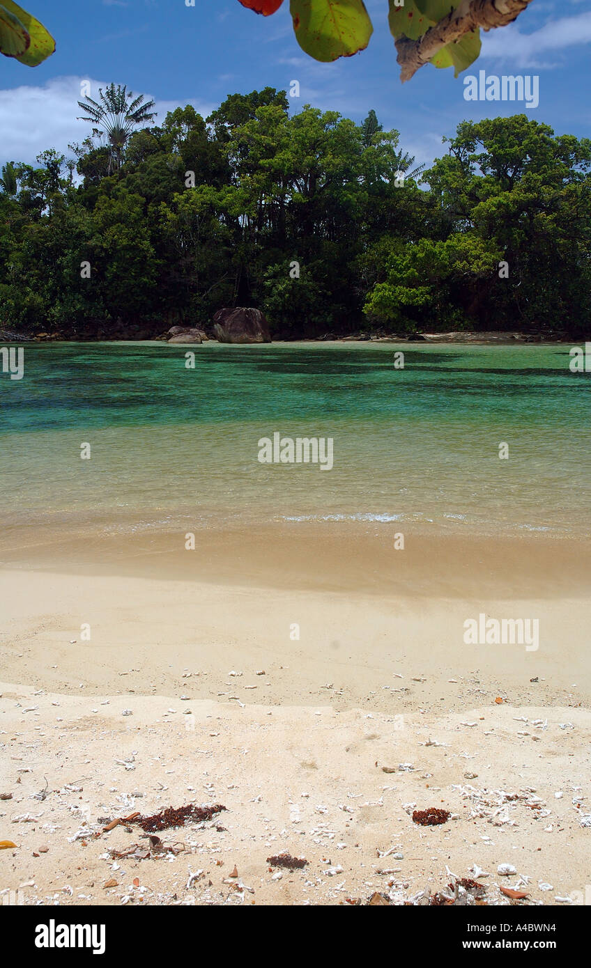 Tampolo Marine Reserve Masoala National Park Masoala Peninsula Antongil ...