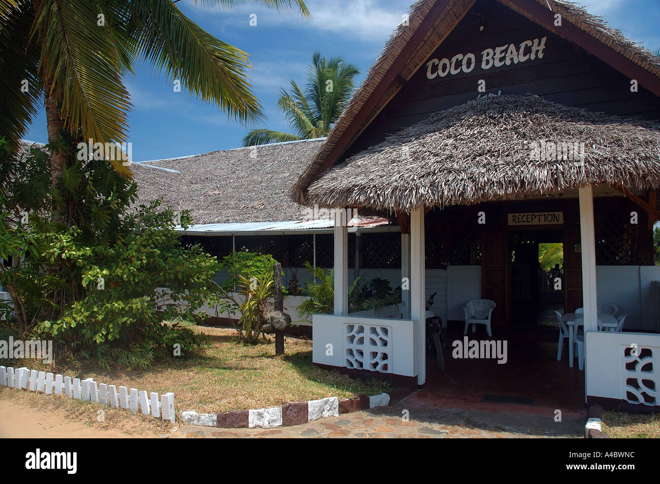 The Coco Beach, generic tropical hotel with palm trees Stock Photo - Alamy