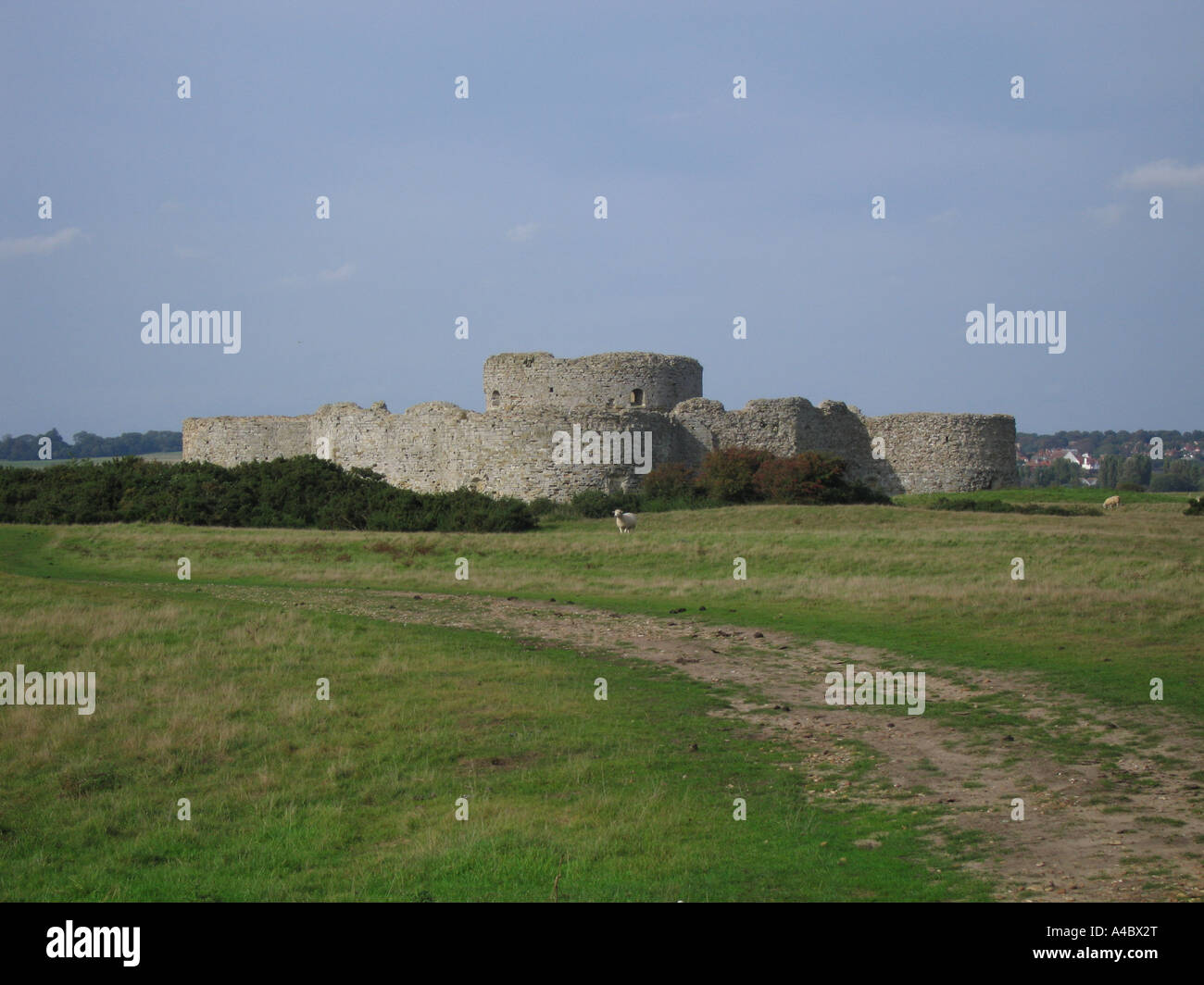 Camber Castle Rye Sussex UK Stock Photo - Alamy