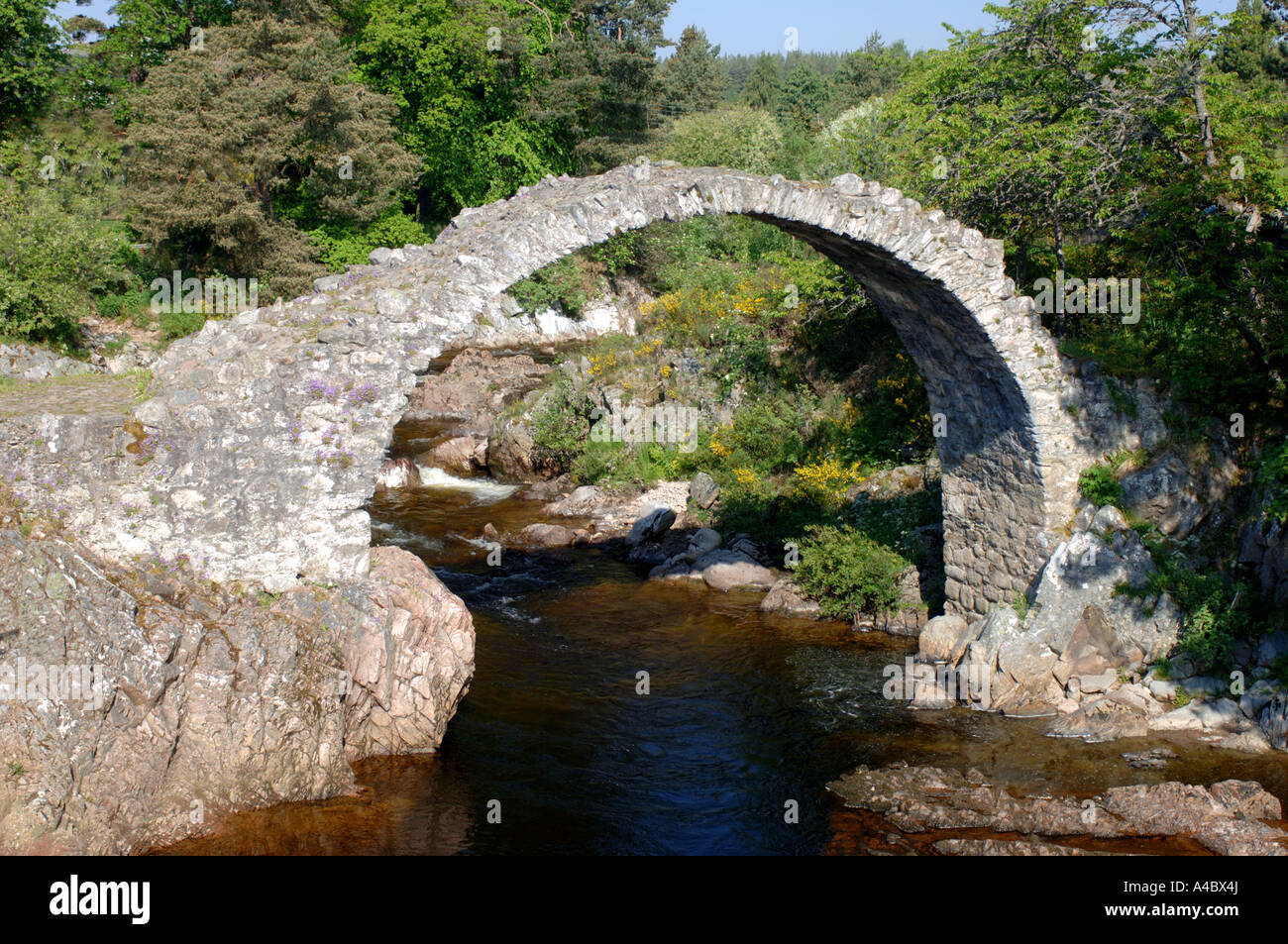 Pack Horse Bridge at Carrbridge Stock Photo - Alamy