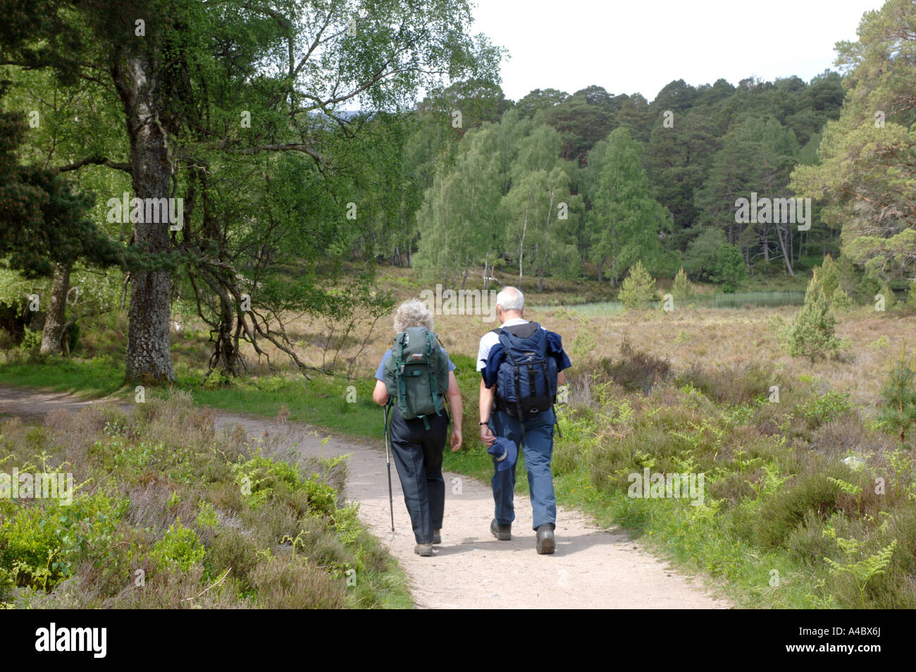 Cairngorms national park summer walkers hi-res stock photography and ...