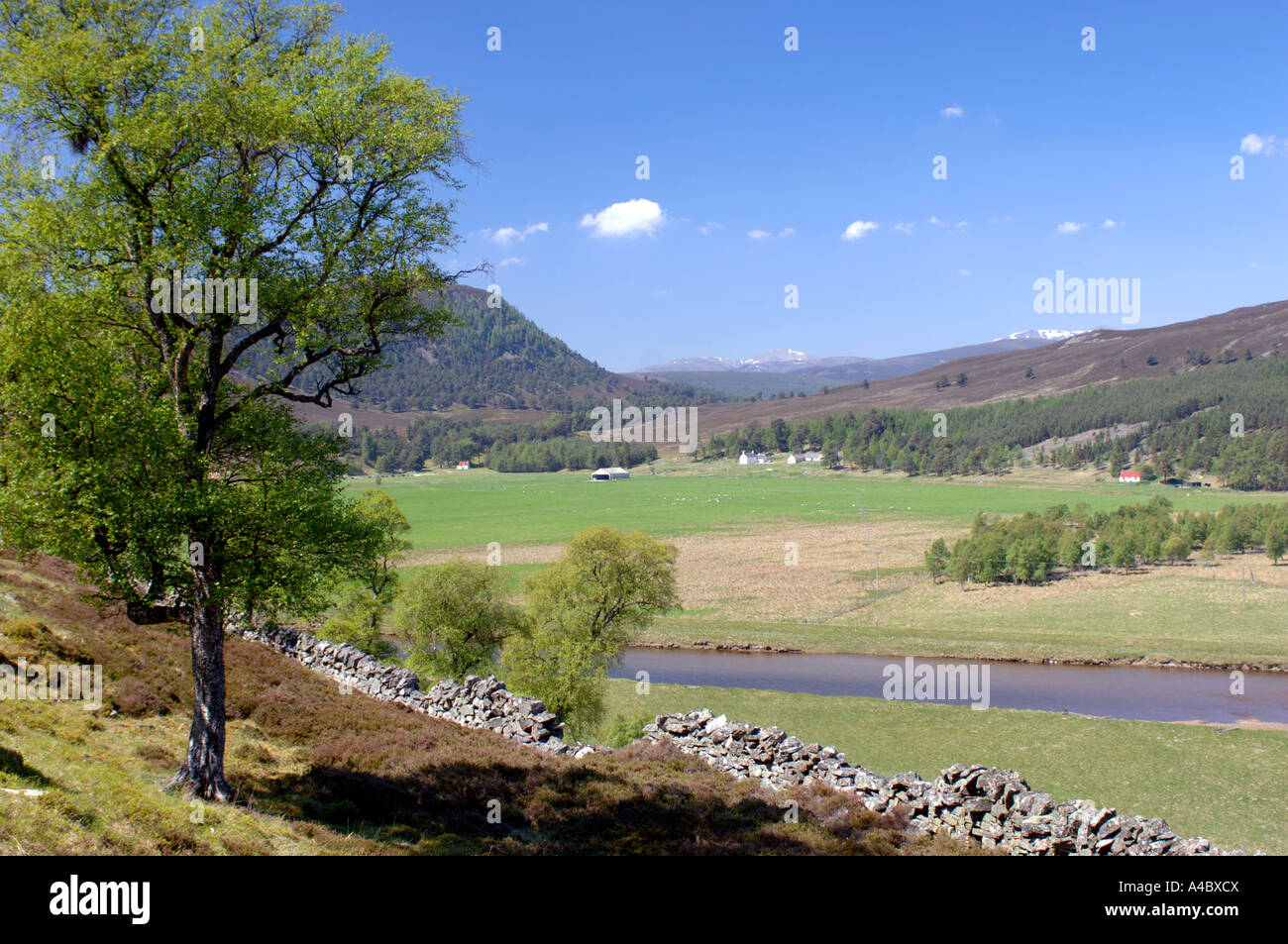 River Dee flowing flowing through Mar Lodge near Braemar, Grampian ...