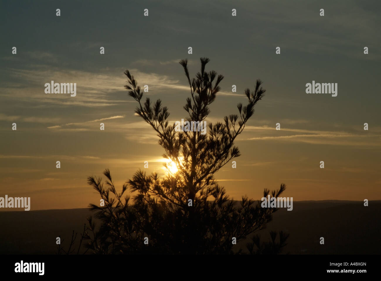 Mount Tom State Reservation in Holyoke, Massachusetts USA, Metacomet ...