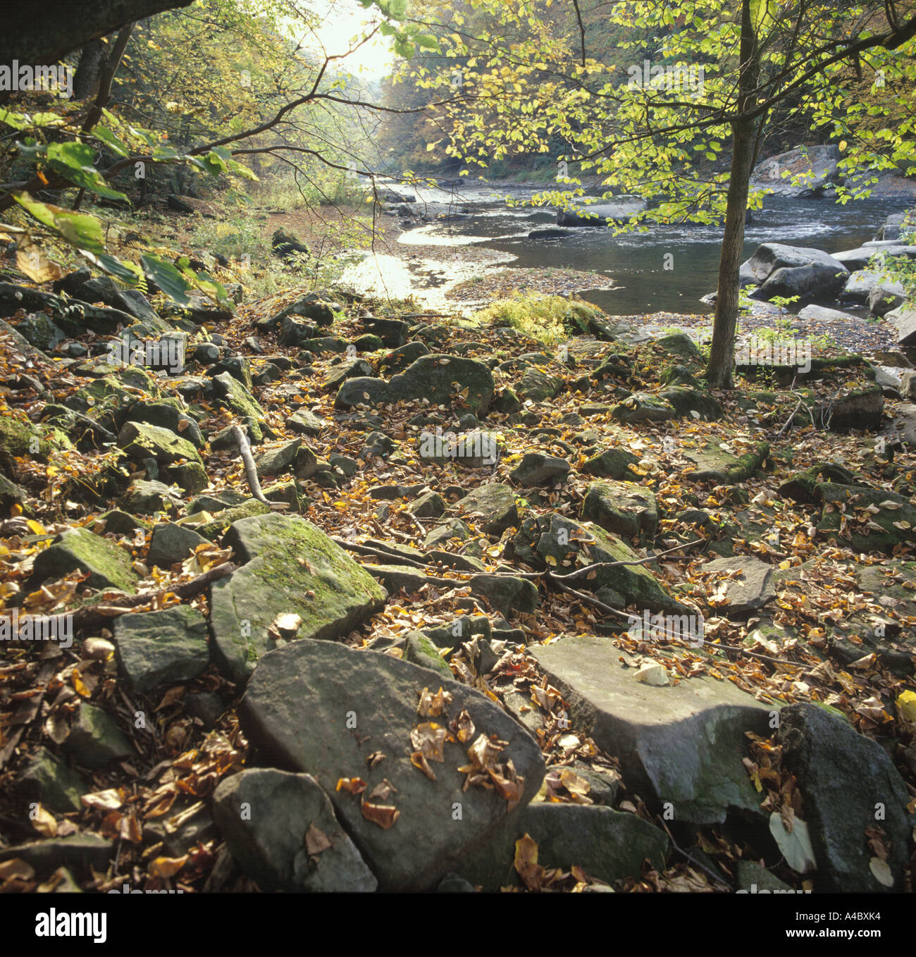 Creek bed pennsylvania hi-res stock photography and images - Alamy