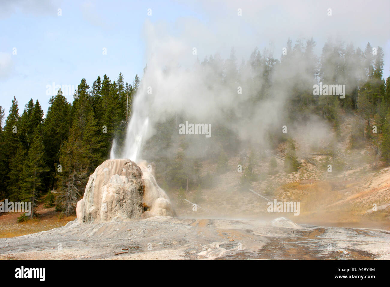 lone star geyser, yellowstone national park, wyoming Stock Photo - Alamy