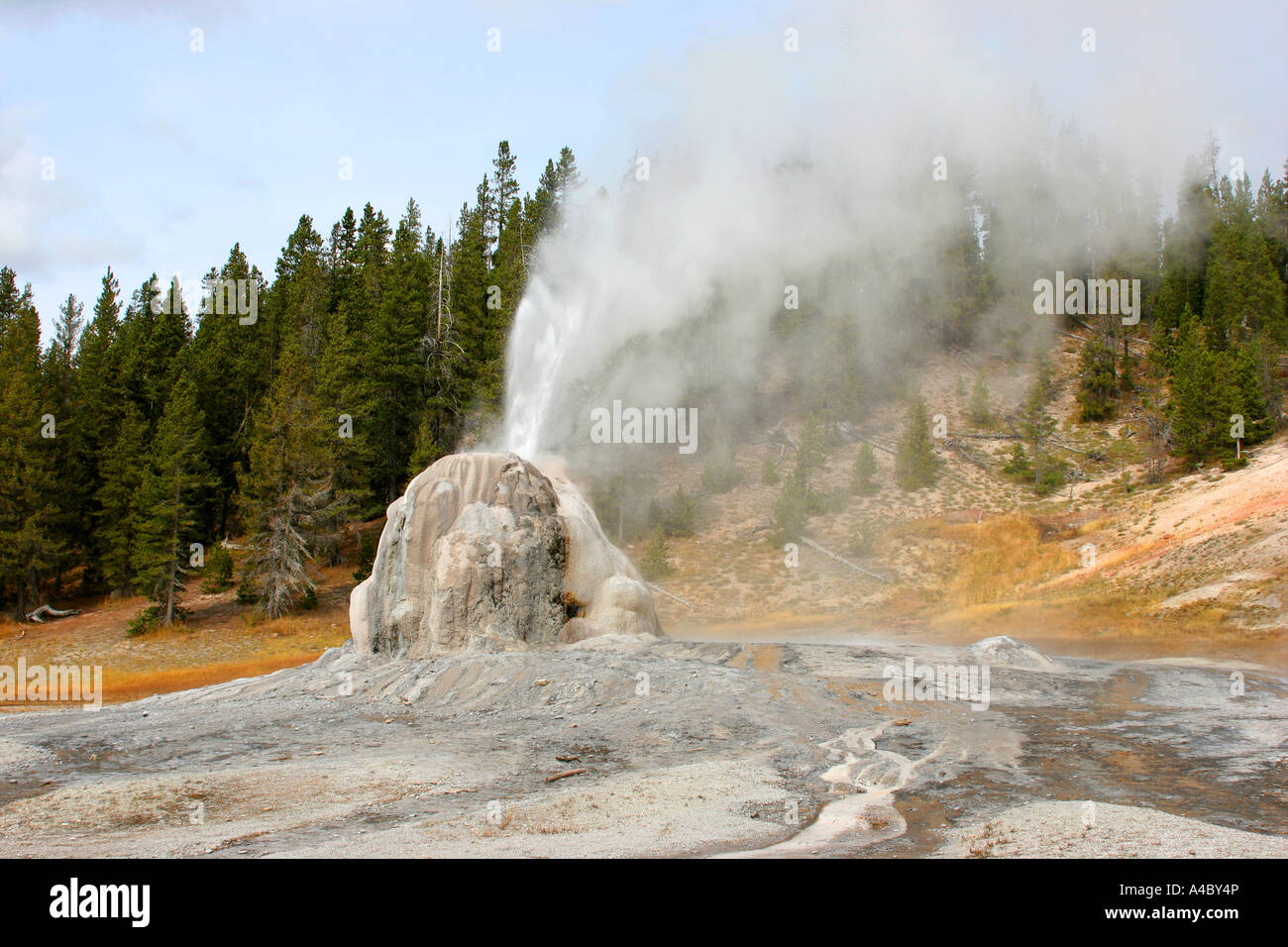 lone star geyser, yellowstone national park, wyoming Stock Photo - Alamy
