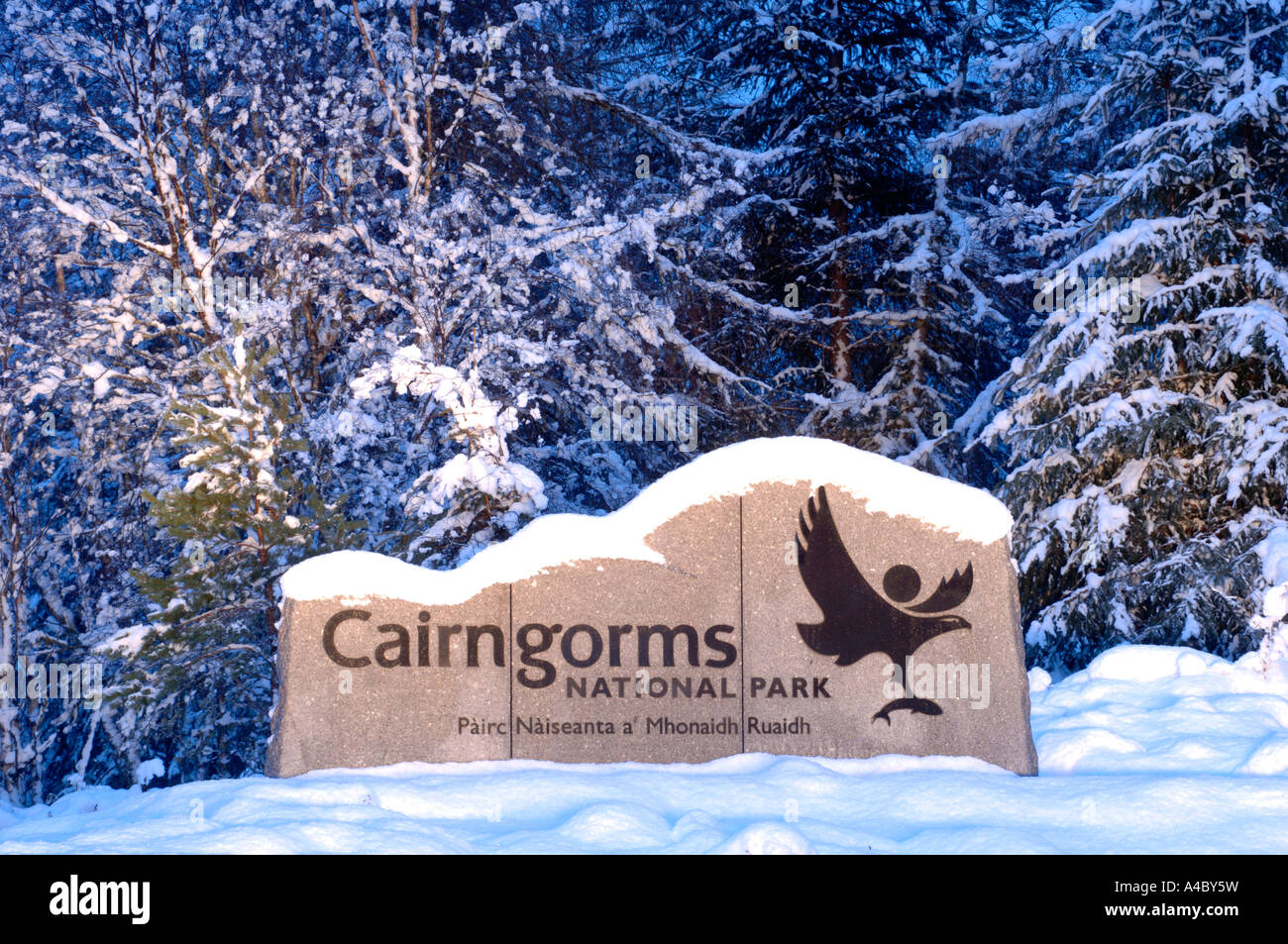 Cairngorms National Park Carved Stone Entrance Sign. XPL 4676-439 Stock ...