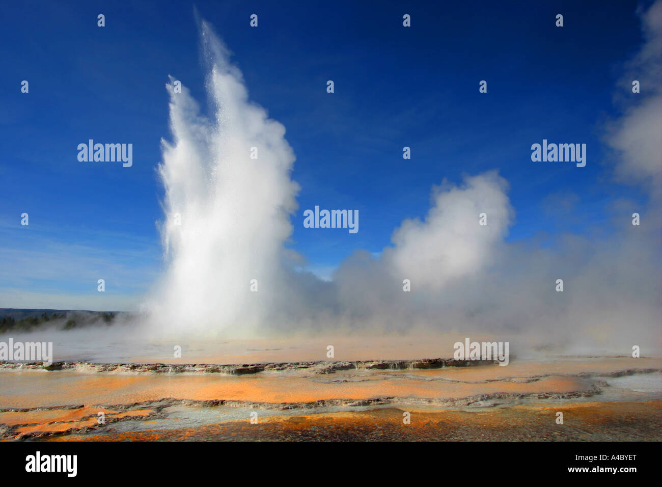 great fountain geyser, yellowstone national park, wyoming Stock Photo ...