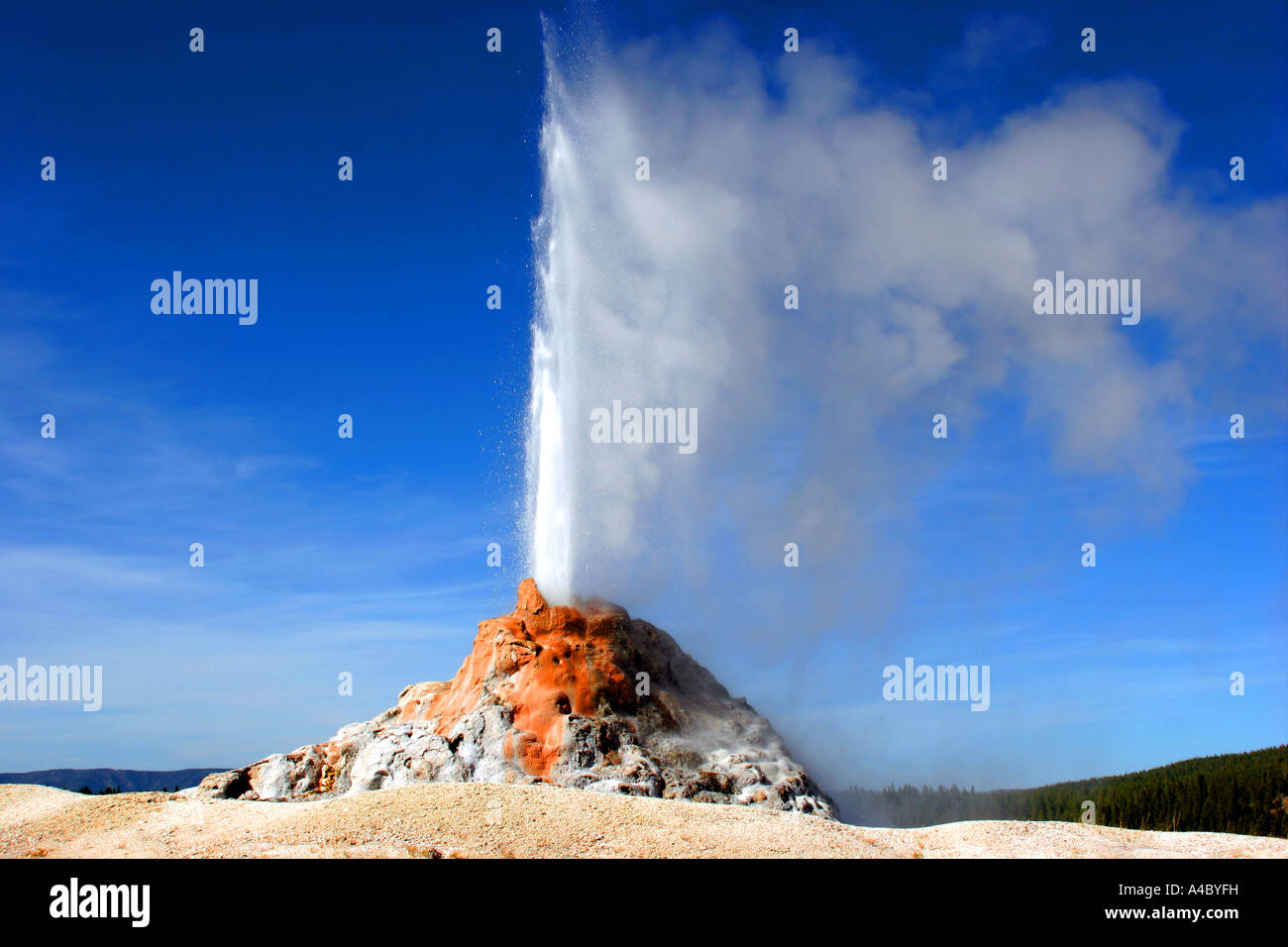 white dome geyser, yellowstone national park, wyoming Stock Photo - Alamy