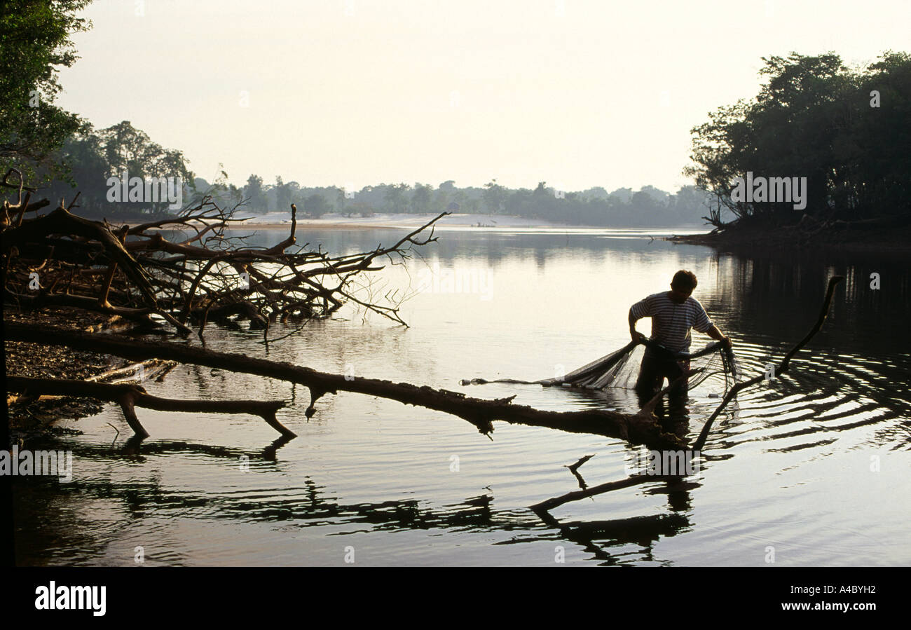 FISH COLLECTING IN THE AMAZON RAINFOREST Stock Photo - Alamy
