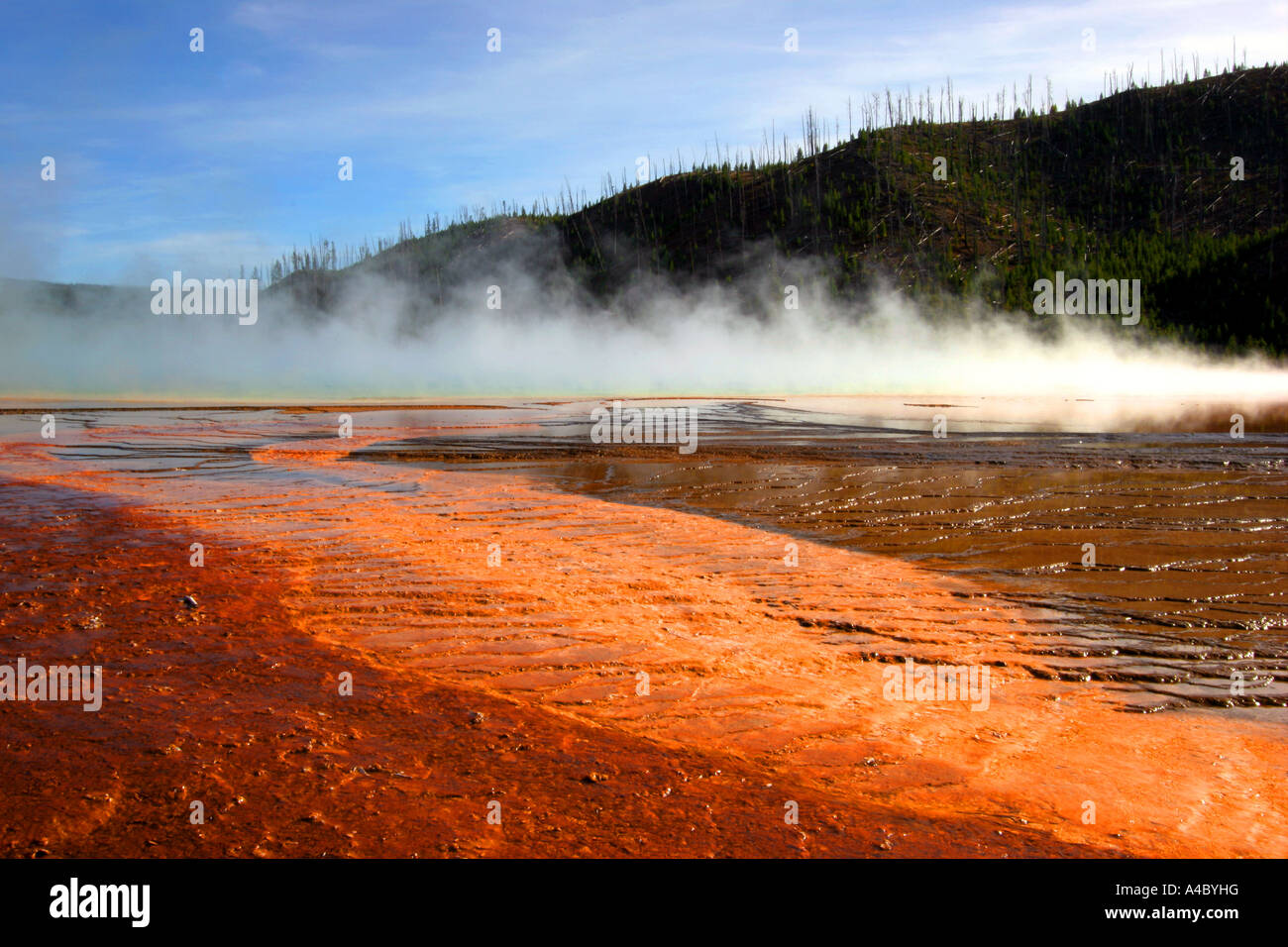 bacteria mats and hot lake, firehole lake loop, yellowstone national ...