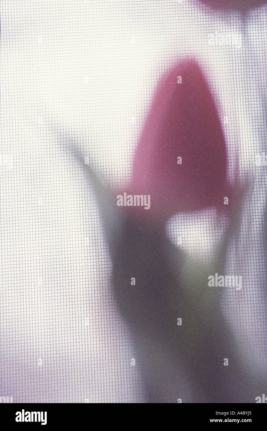 Fuzzy vision concept hi-res stock photography and images - Alamy