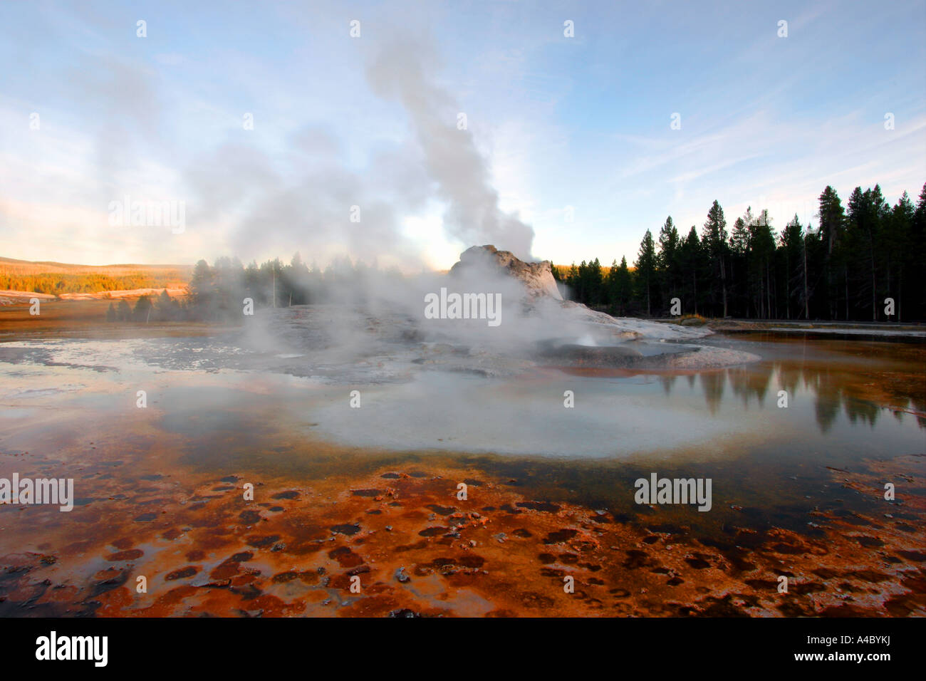 castle geyser, yellowstone national park, wyoming Stock Photo - Alamy