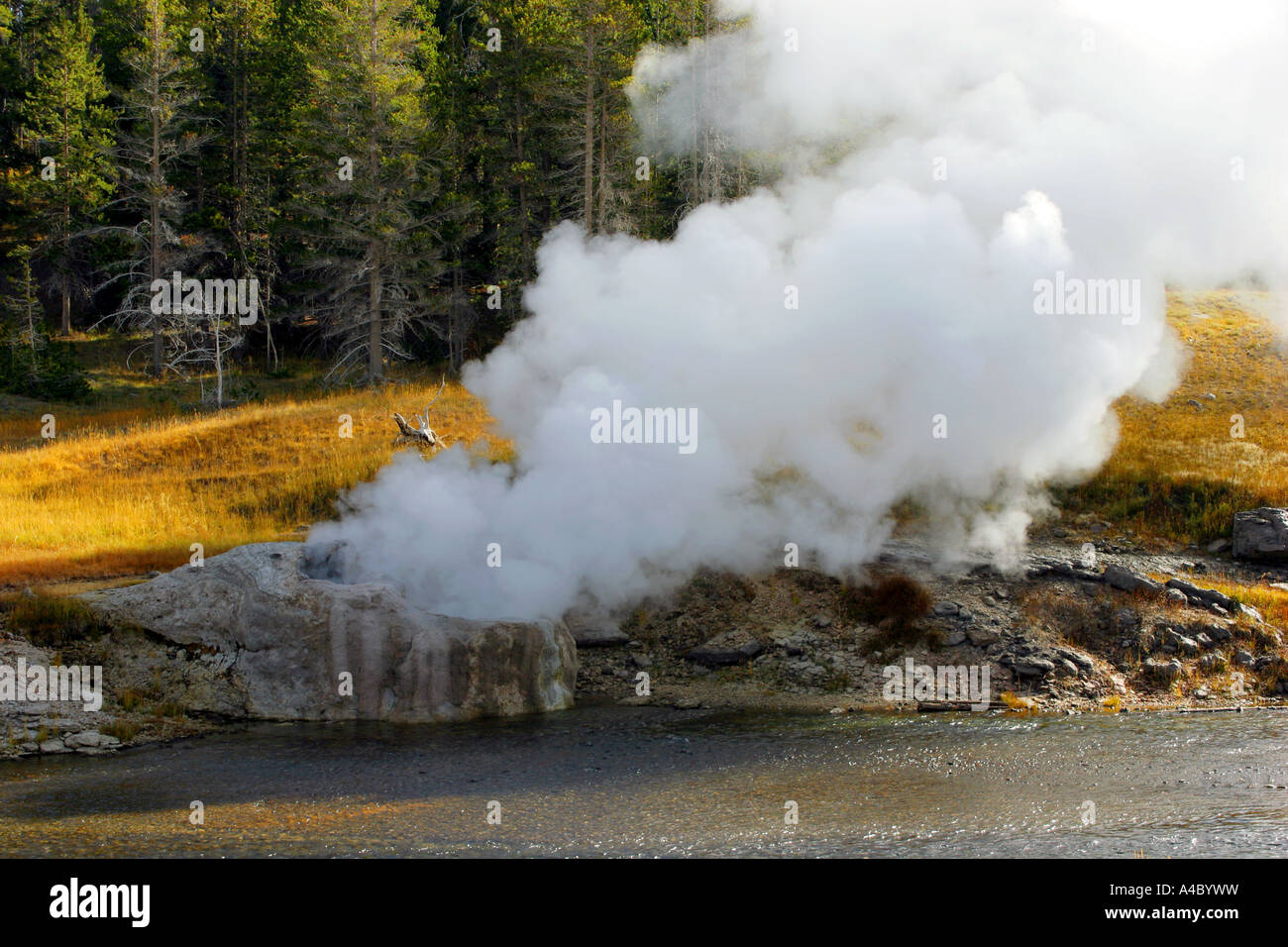 riverside geyser, yellowstone national park, wyoming Stock Photo - Alamy