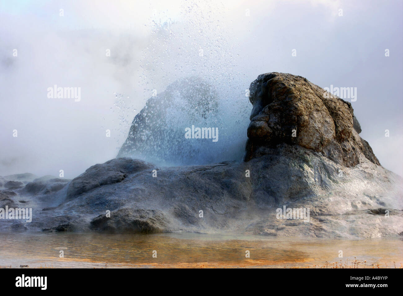 grotto geyser, yellowstone national park, wyoming Stock Photo - Alamy