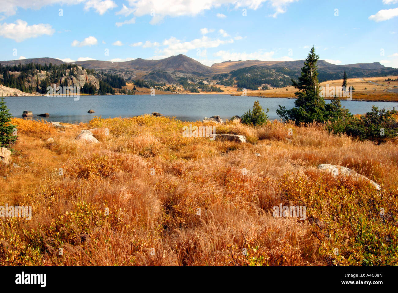 island lake off the beartooth highway, shoshone national forest ...