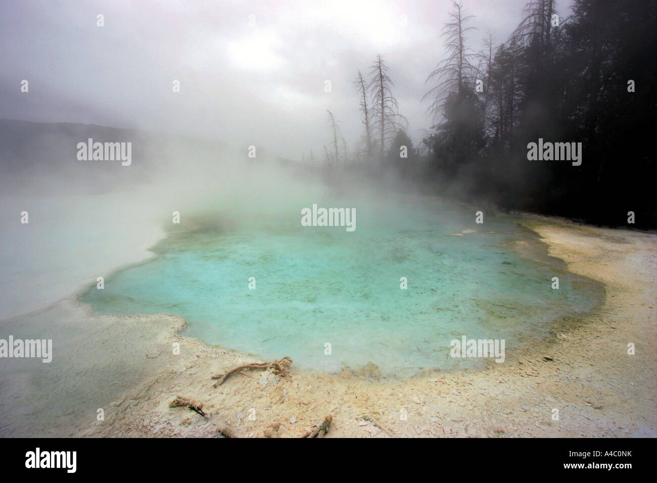 Yellowstone silica hi-res stock photography and images - Alamy