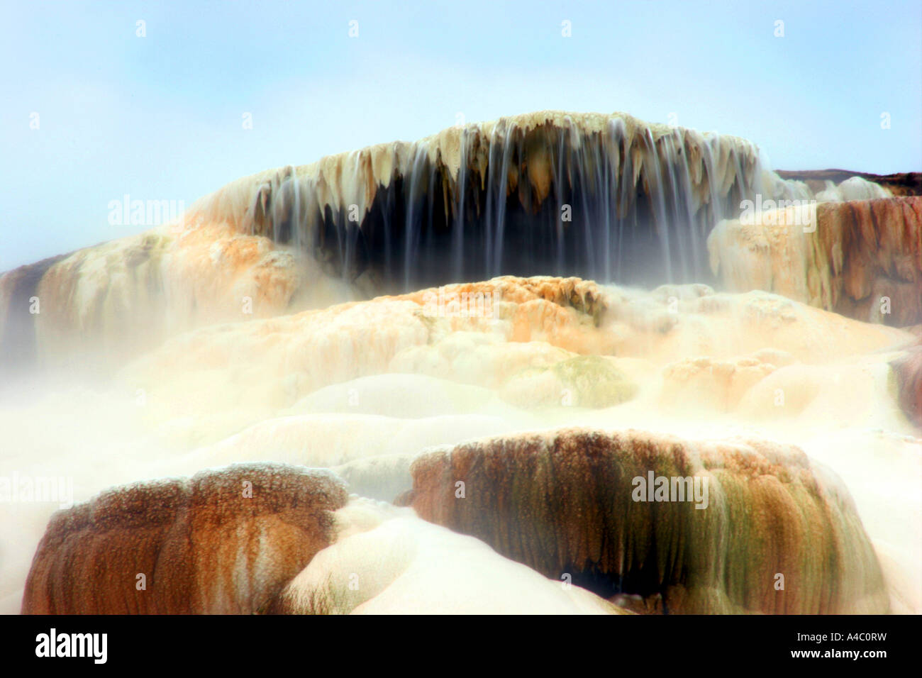 minerva terrace, mammoth hot springs, yellowstone national park ...