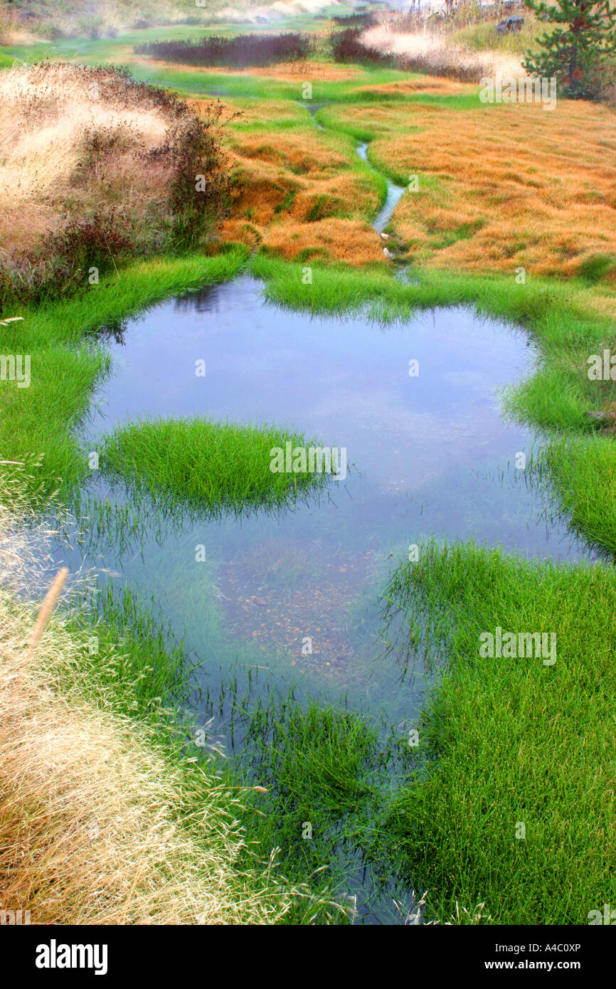 obsidian creek, yellowstone national park, wyoming Stock Photo - Alamy