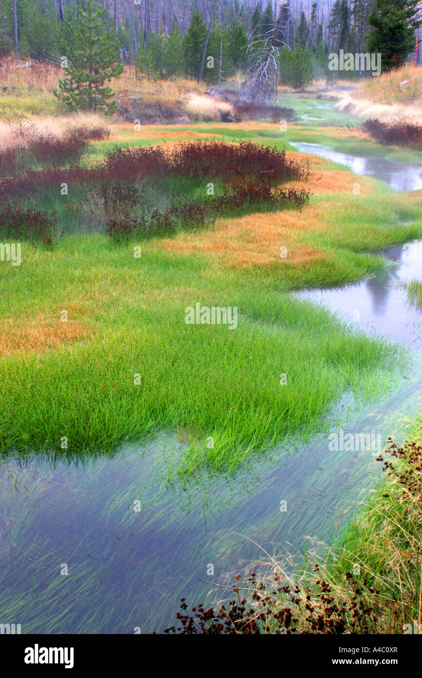 obsidian creek, yellowstone national park, wyoming Stock Photo - Alamy