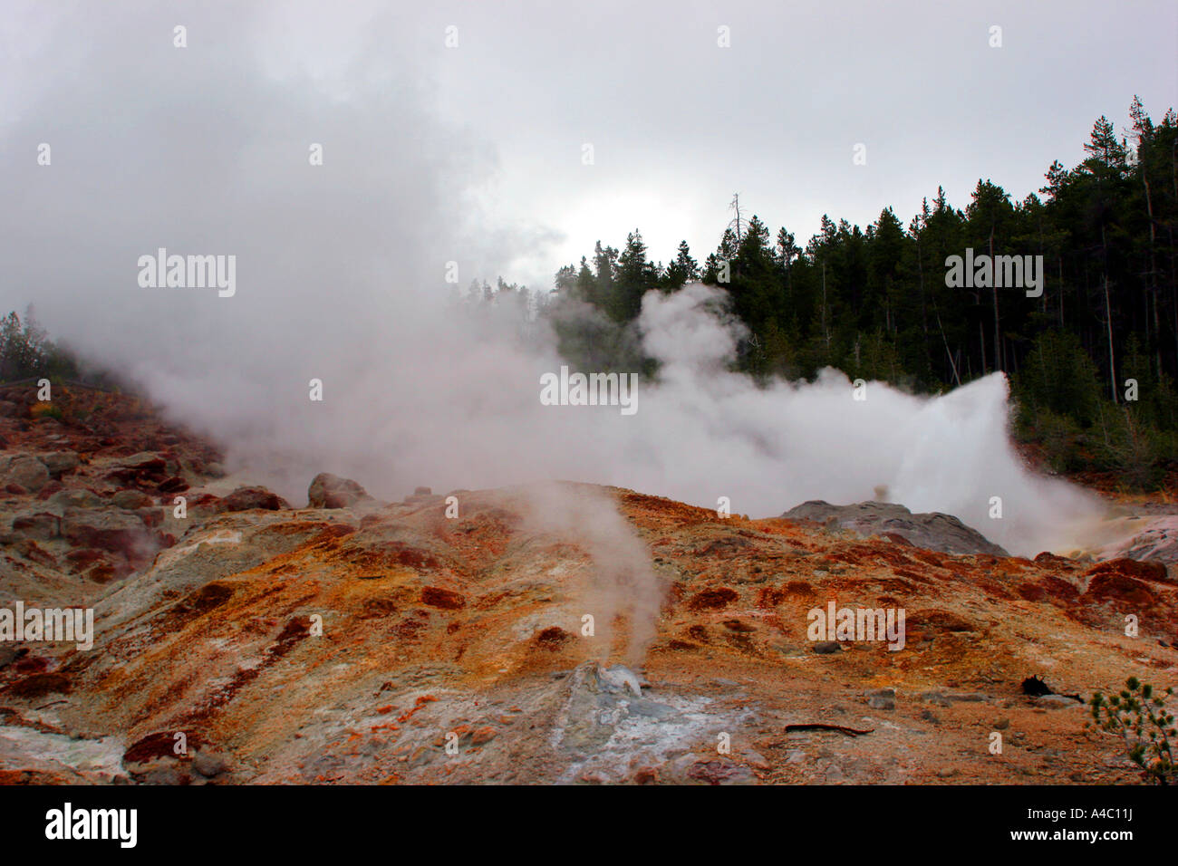 Archaea yellowstone hi-res stock photography and images - Alamy