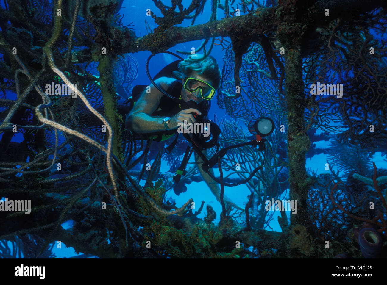 STEPHEN FRINK UNDERWATER PHOTOGRAPHER ON A WRECK IN THE BAHAMAS Stock ...