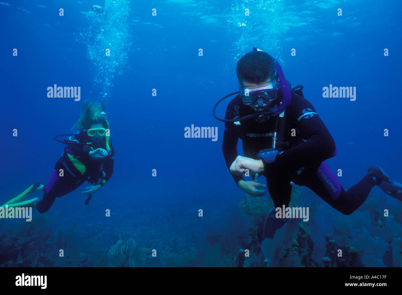 Bottom timer hi-res stock photography and images - Alamy