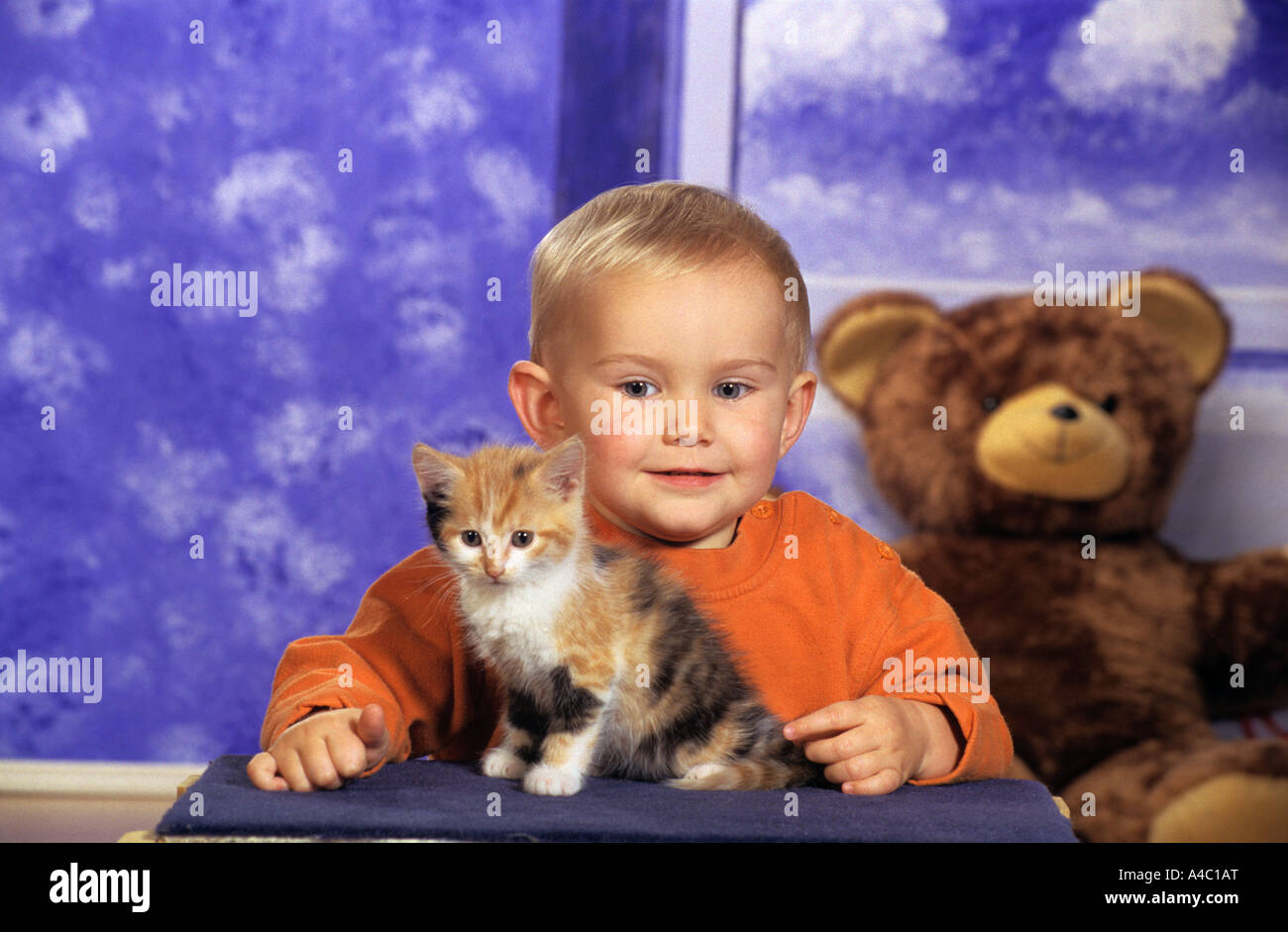 boy with kitten Stock Photo - Alamy