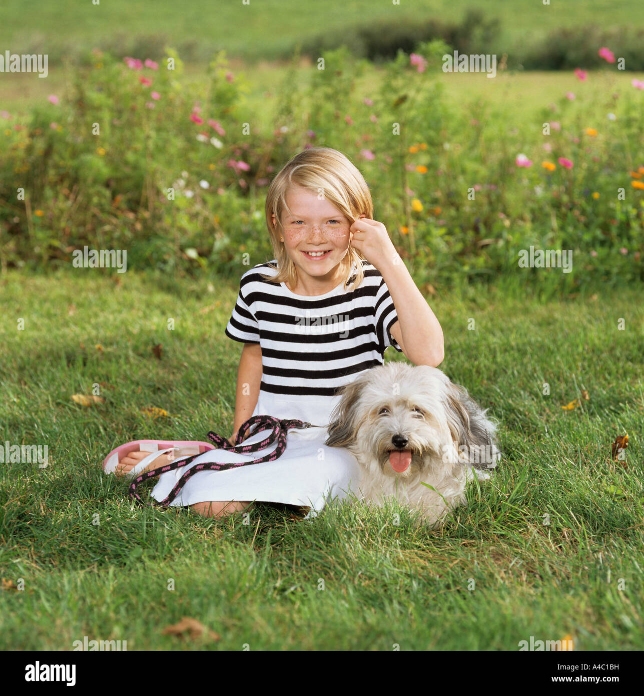 girl and half breed dog on meadow Stock Photo - Alamy